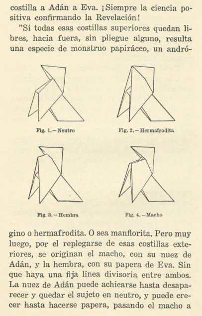 David Mitchell's Origami Heaven - History - Apuntes Para un Tratado de ...